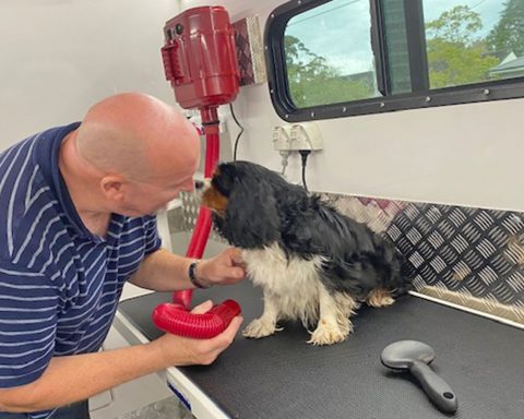 New Mobile Dog Grooming Service - Northern Beaches Pet Care